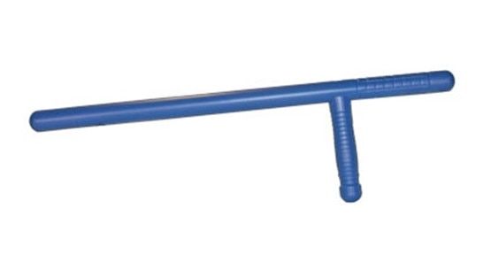 Blueguns PR24 Baton Trainer