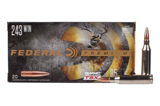 Federal Premium 243 Win 85 gr Barnes TSX Ammo - Box of 20